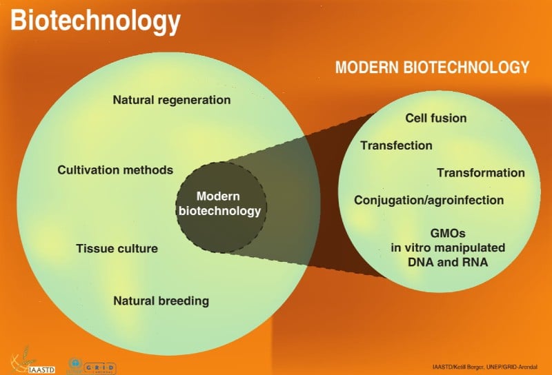 Humble Beginnings: The History of Modern Biotechnology