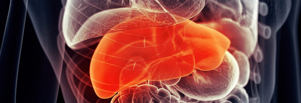 "We are Pioneering Cell Therapy to Cure NASH and Fibrotic Disease"