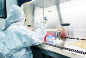 Could Stem Cells Replace Animal Testing in Drug Development?