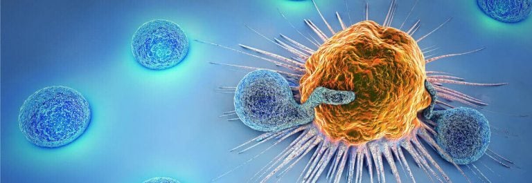 Next-Gen Cancer Antibody Technology from Germany enters the Clinic