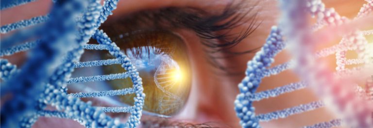 France Approves Trials for the First Eye Gene Therapy Free of Viral DNA