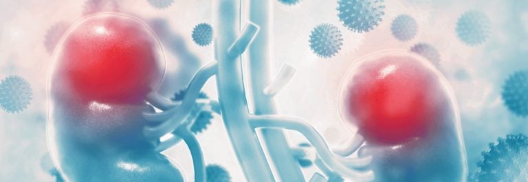 Seed Funding for a German Cell Therapy to Prevent Transplant Rejection