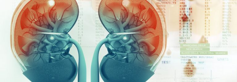 Swiss Researchers get to the Genetic Bottom of Kidney Cancer