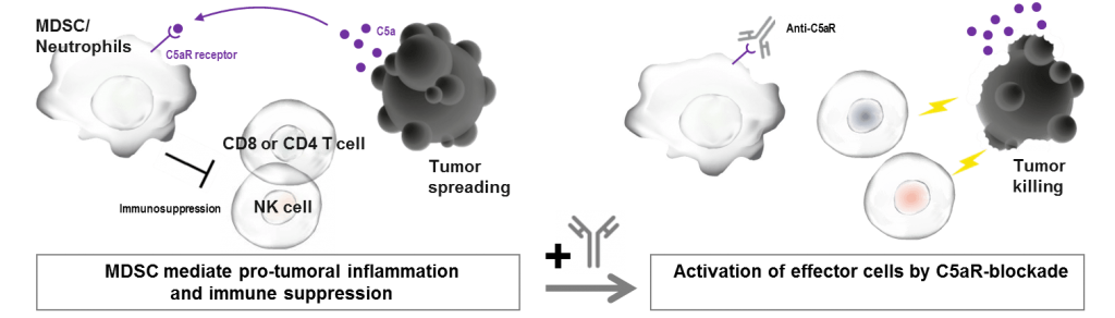 French Biotech Strikes New Deal with Novo Nordisk for New Cancer Drug
