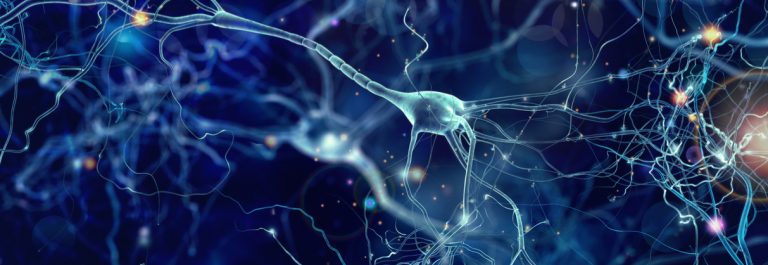 Stealth mode biotech startups: Everything you need to know