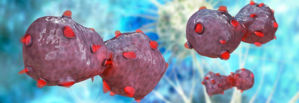 Immunicum reveals Long-Term Data of a Dendritic Cell Therapy for Cancer