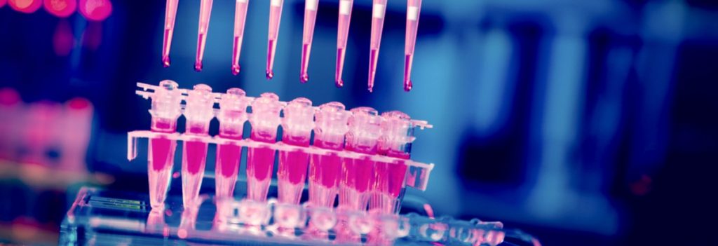 Alligator Bisocience Takes on a New Immuno-Oncology Target