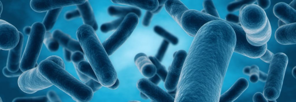 Spanish Scientists Identify How Gene Activity in Bacteria is Controlled