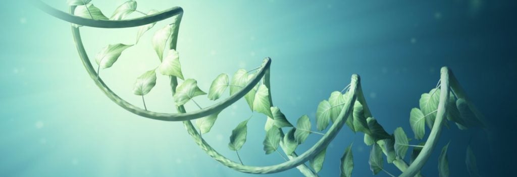 Bayer Launches Plant Microbiome Biotech with a Huge €84M Series A