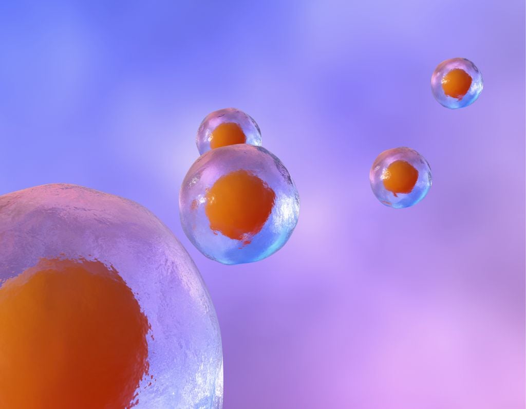 The Future of Induced Pluripotent Stem Cells - iPS Cells