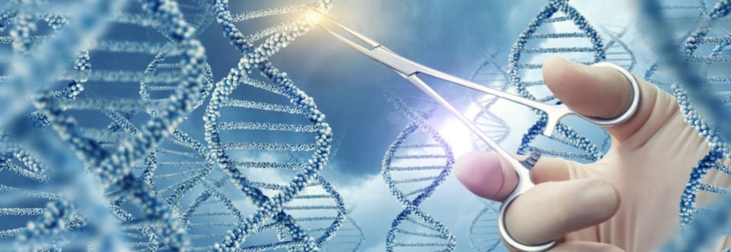 Trianni Mouse Produces the Whole Human Antibody Repertoire