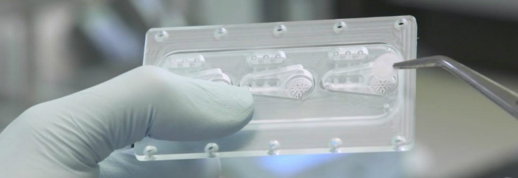 The FDA recruits CN Bio's organs-on-chips to speed up drug development