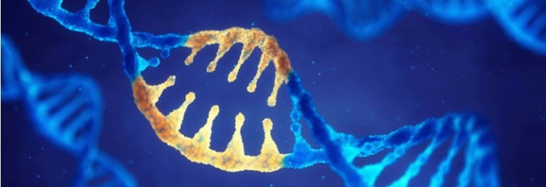 Using Molecular Combing for the Discovery of Genetic Diseases