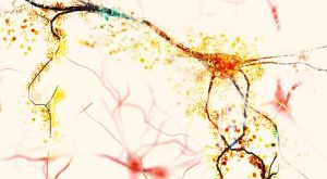 How AC Immune CEO Andrea Pfeifer is Tackling Alzheimer's Disease