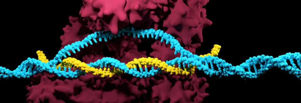 The European Patent Office Revokes the Broad Institute‘s CRISPR Patents