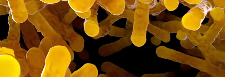 Enterome Brings in a €32M Series D for its Microbiome-Based Therapies