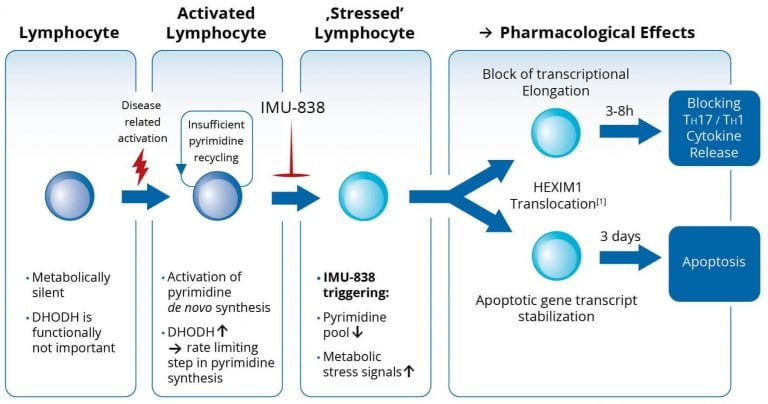 The FDA Approves Immunic Therapeutics' Ulcerative Colitis Phase II Study