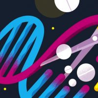Bridge RNA: A new gene editing tool to compete with CRISPR