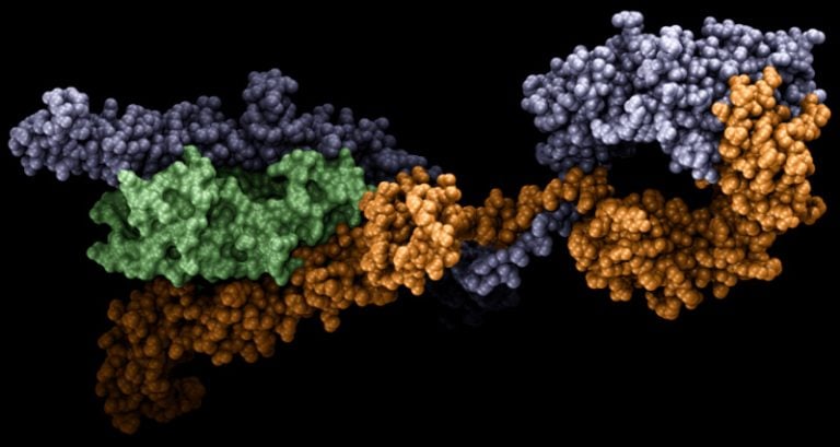 Levicept Could Replace Opioids with Safe an Effective Pain Relief