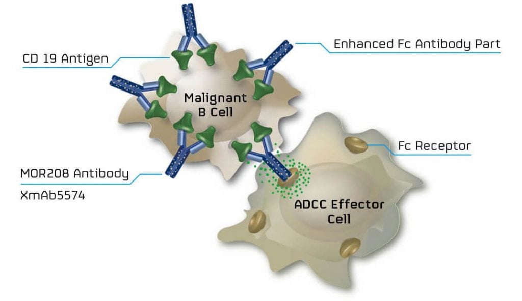 MorphoSys CEO Simon Moroney: What Next for Europe's Antibody Expert?