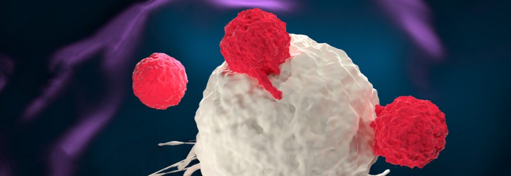 Cellectis Raises $164M for CAR-T Despite a Challenging Road