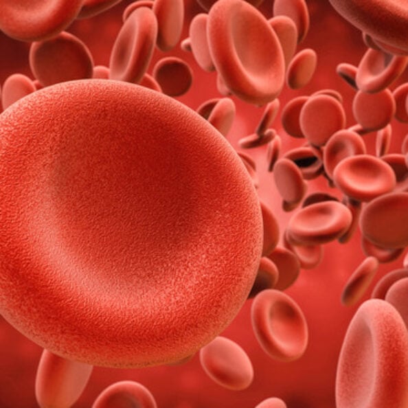Hemophilia Blood Cells