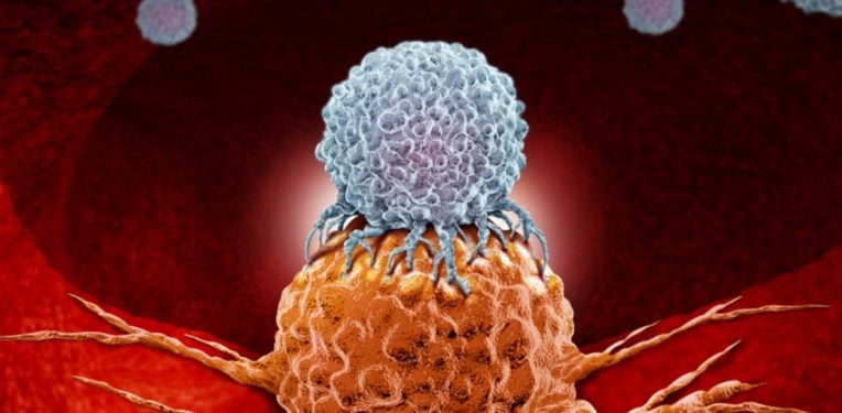 Genmab's Collaboration Worth Over €1Bn Could Give Rise to New Cancer ... Genmab's Collaboration Worth Over €1Bn Could Give Rise to New Cancer ...