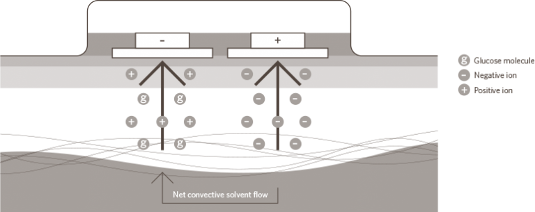 Needle-Free Diabetes Care: 7 Devices that Painlessly Monitor Blood Sugar