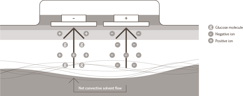 Needle-Free Diabetes Care: 7 Devices that Painlessly Monitor Blood Sugar