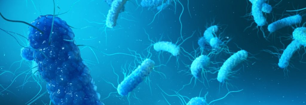 Microbiome Biotech Enterome Signs Deal With Takeda Worth up to €600M