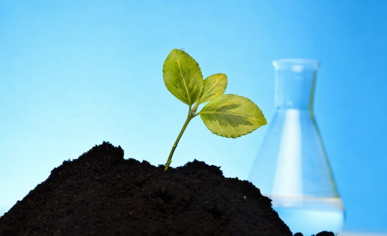 How Industrial Biotech is Opening the Way to the Bioeconomy