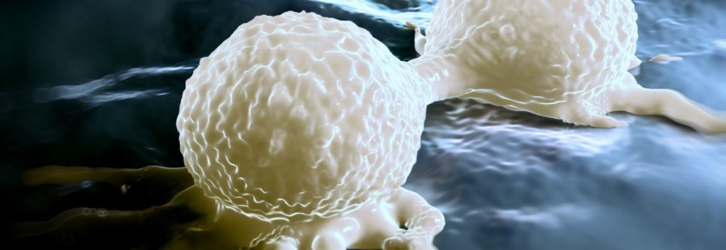 Phase I Promise for Netrin Pharma's First-in-Class Antibody Cancer ...