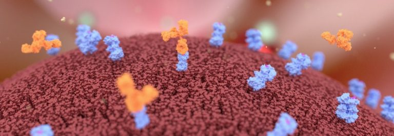 Sanofi Obtains License for Biomunex' Antibody Engineering Platform