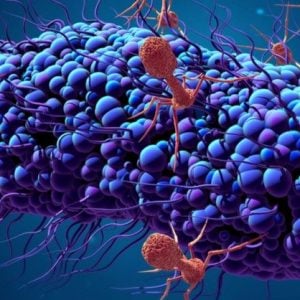 Cabaletta Bio lupus drug cleared for trial