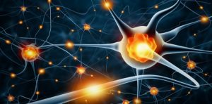 Polyneuron Raises €20M to Develop Decoy Drugs in Autoimmune Disease