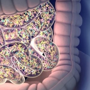 Bactolife receives $5M in new funding to address gut infections worldwide