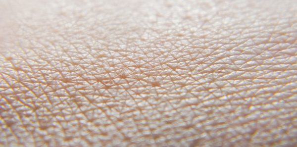 Bioprinting news and 3D printing news - Labiotech.eu