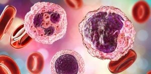 Genenta Science Raises €13M to Test Stem Cell Therapy for Cancer