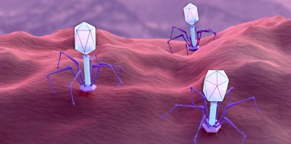 EU Court Ushers in the Use of Phages Against Listeria in Food