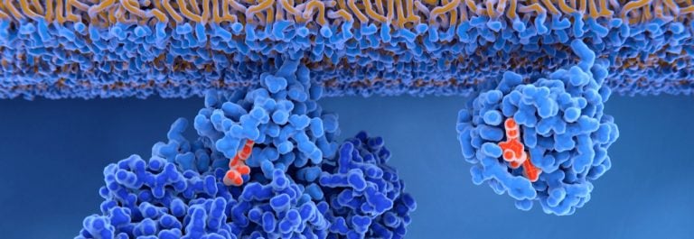 How can Proteomics Boost the Discovery of Novel Drugs and Biomarkers?