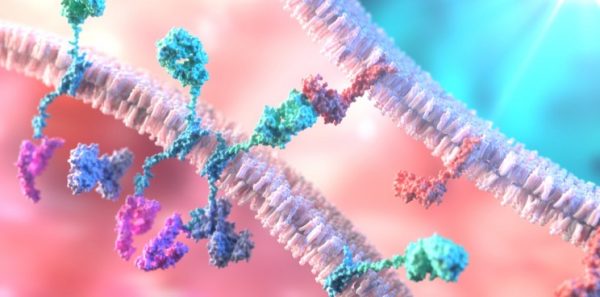 Autolus Reveals Early Clinical Data of Next-Gen CAR-T Therapy