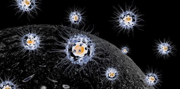 BioNTech’s RNA-Boosted CAR T-Cell Therapy Shrinks Tumors in Mice