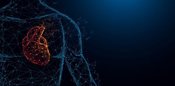 Cardior Pharmaceuticals’ Heart Failure Drug Shows Curative Potential