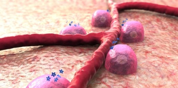 Enthera's Record Series A for Italian Biotech Funds Autoimmune Therapy