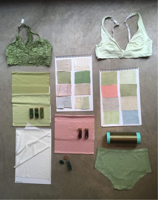 After Years of Neglect, Algae Biotechnology Makes a Comeback