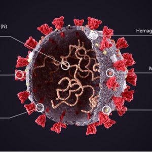 Manifold Bio bags $40M Series A to smash preclinical bottlenecks