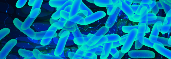 Merck news - the latest biotech news from Labiotech.eu