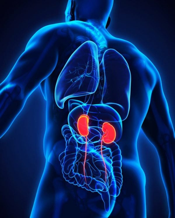 Axovant's Parkinson's Disease Gene Therapy Clinical Trial Launched in UK