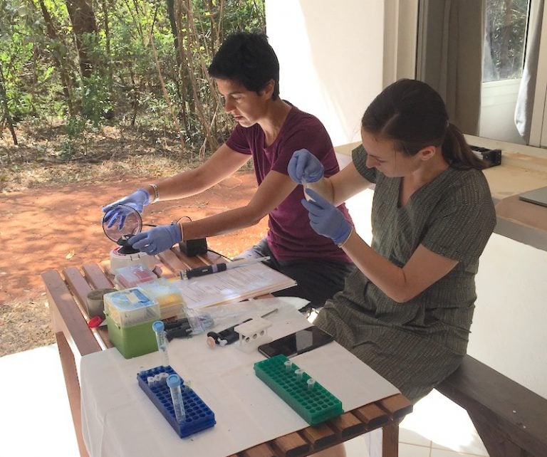 Portable Sequencing Is Reshaping Genetics Research