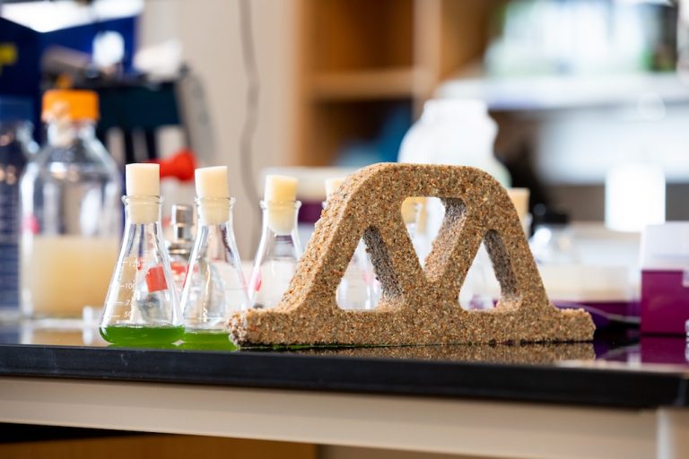 Biomaterials Are Making the Building Industry More Sustainable